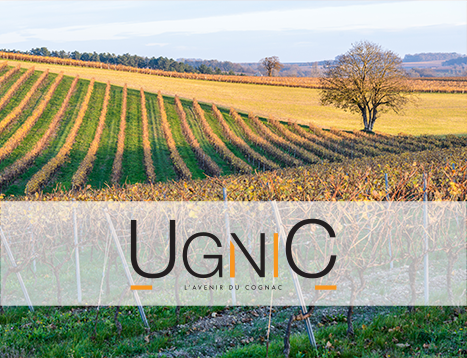 UGVC - LE N°53 DE NOTRE MAGAZINE EST DISPONIBLE